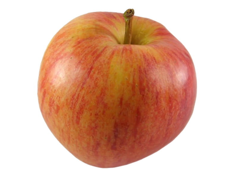 Hét marktkraam voor groenten & fruit | Fruithandel Temmerman