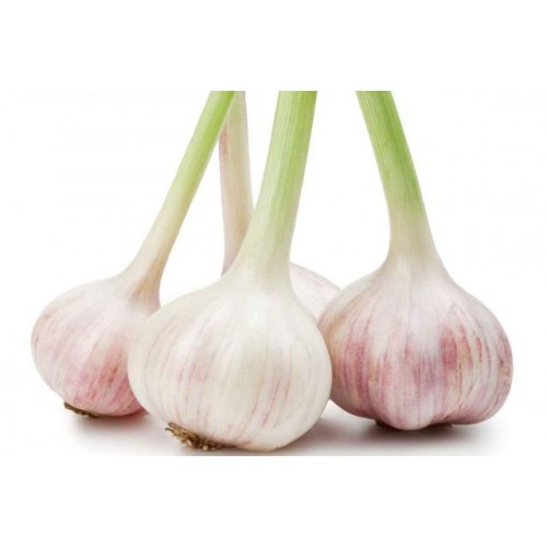 Hét marktkraam voor groenten & fruit | Fruithandel Temmerman